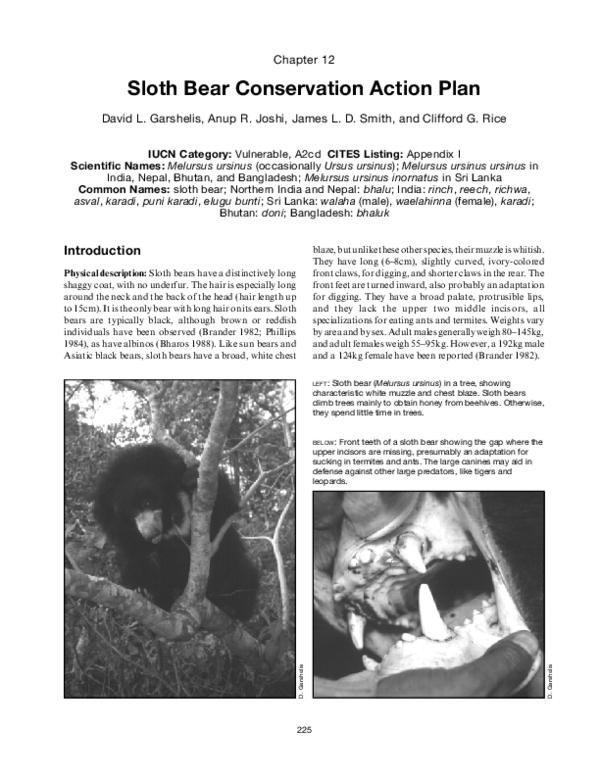 (PDF) Sloth Bear Conservation Action Plan