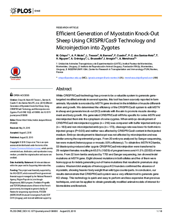 (PDF) Efficient Generation of Myostatin Knock-Out Sheep Using CRISPR ...