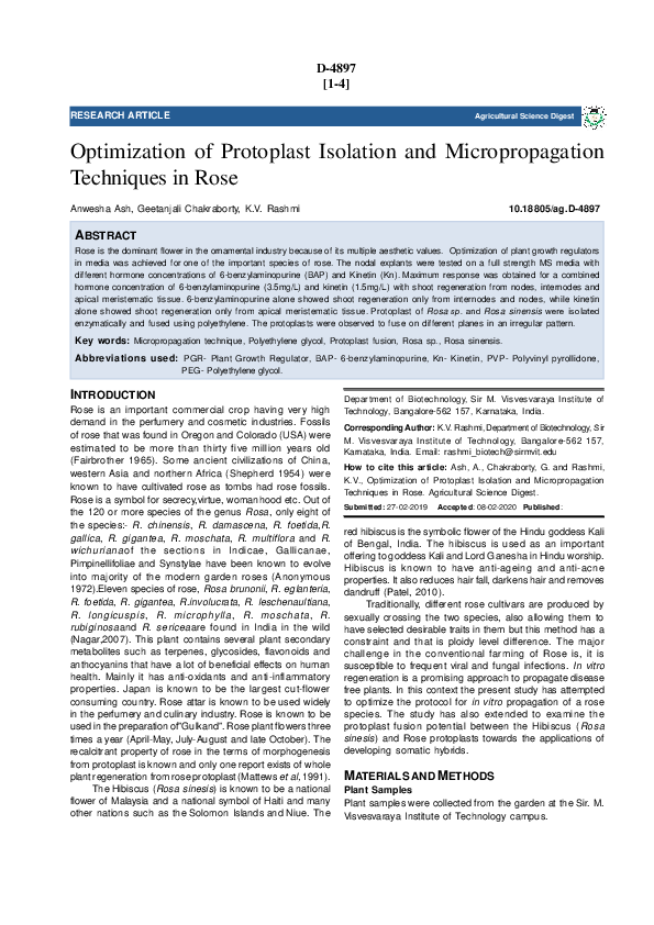 (PDF) Optimization of Protoplast Isolation and Micropropagation ...