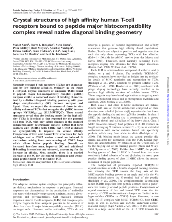 (PDF) Crystal structures of high affinity human T-cell receptors bound to peptide major ...