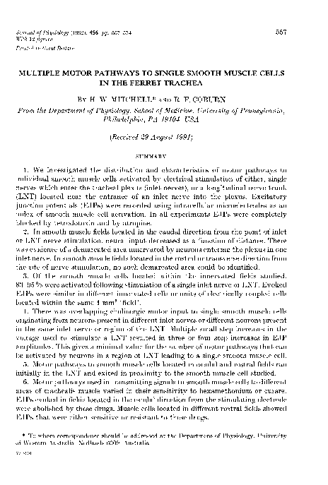 (PDF) Multiple motor pathways to single smooth muscle cells in the ...