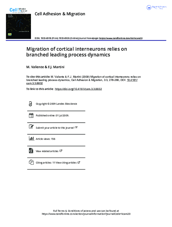 (PDF) Migration of cortical interneurons relies on branched leading ...