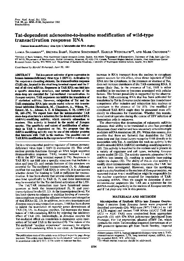 (PDF) Tat-dependent adenosine-to-inosine modification of wild-type ...