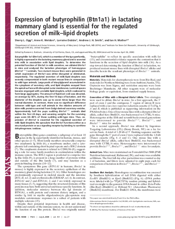 (PDF) Expression of butyrophilin (Btn1a1) in lactating mammary gland is ...