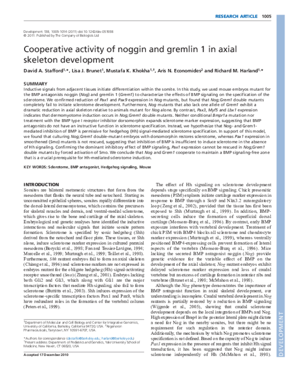 (PDF) Cooperative activity of noggin and gremlin 1 in axial skeleton ...