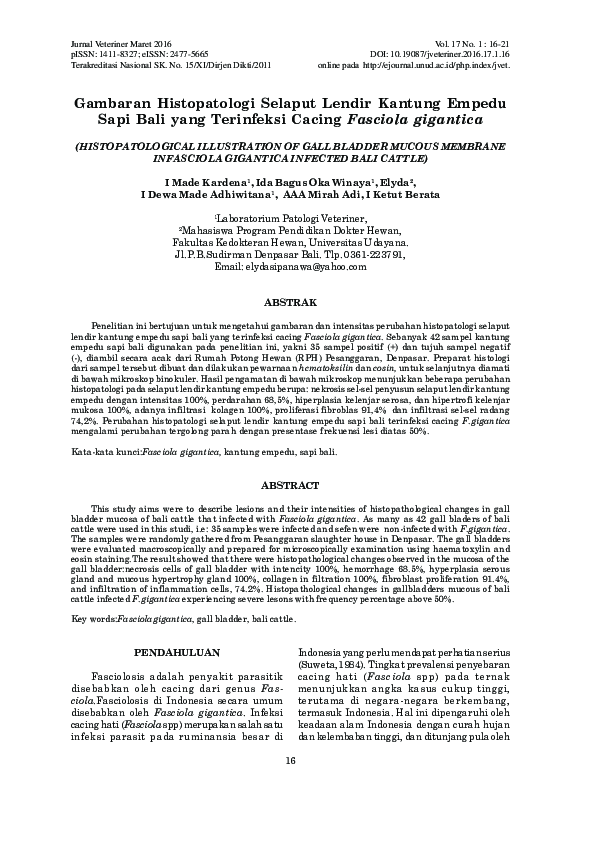 (PDF) Gambaran Histopatologi Selaput Lendir Kantung Empedu Sapi Bali ...