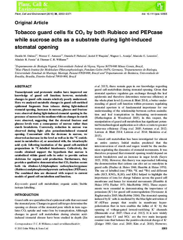 (PDF) Tobacco guard cells fix CO2 by both RubisCO and PEPcase whilst ...