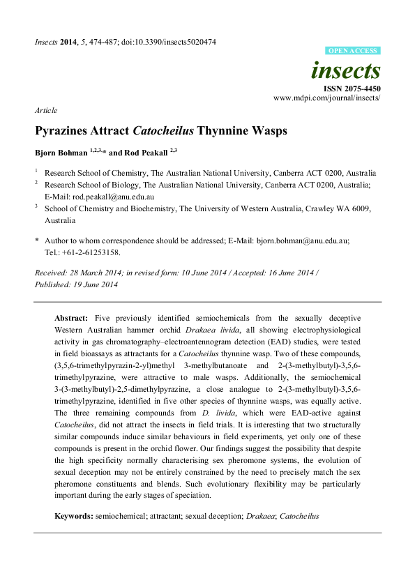 (PDF) Pyrazines Attract Catocheilus Thynnine Wasps