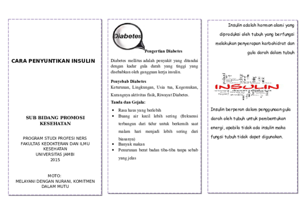 (PDF) Leaflet-insulin compress