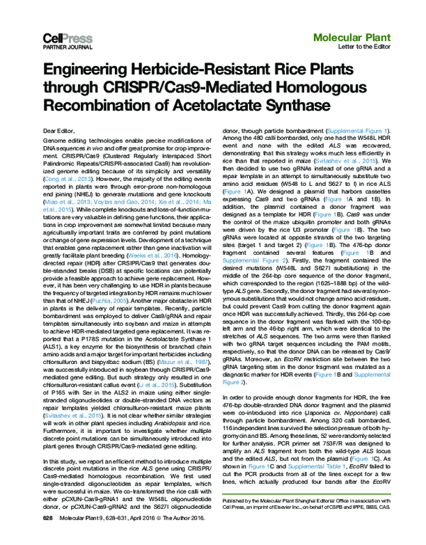 (PDF) Engineering Herbicide Resistant Rice Plants through CRISPR/Cas9 ...