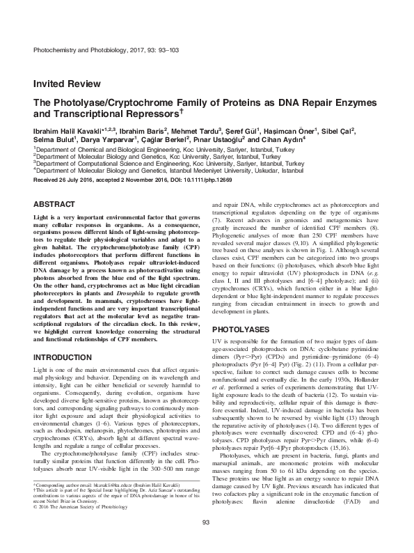 (PDF) The Photolyase/cryptochrome Family of Proteins as DNA Repair ...