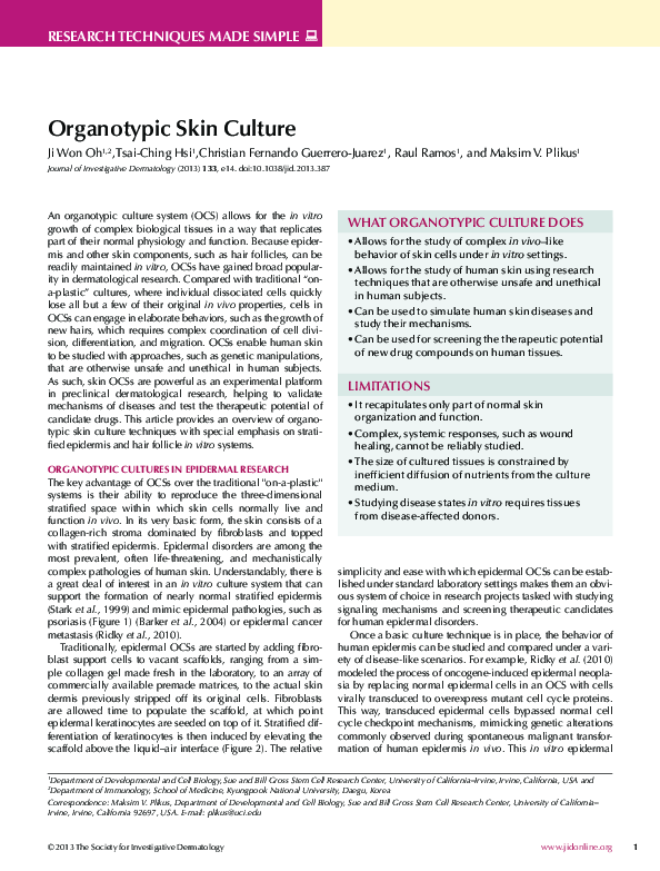 Organotypic skin culture