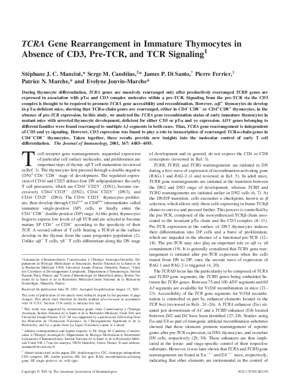 (PDF) TCRA Gene Rearrangement in Immature Thymocytes in Absence of CD3 ...