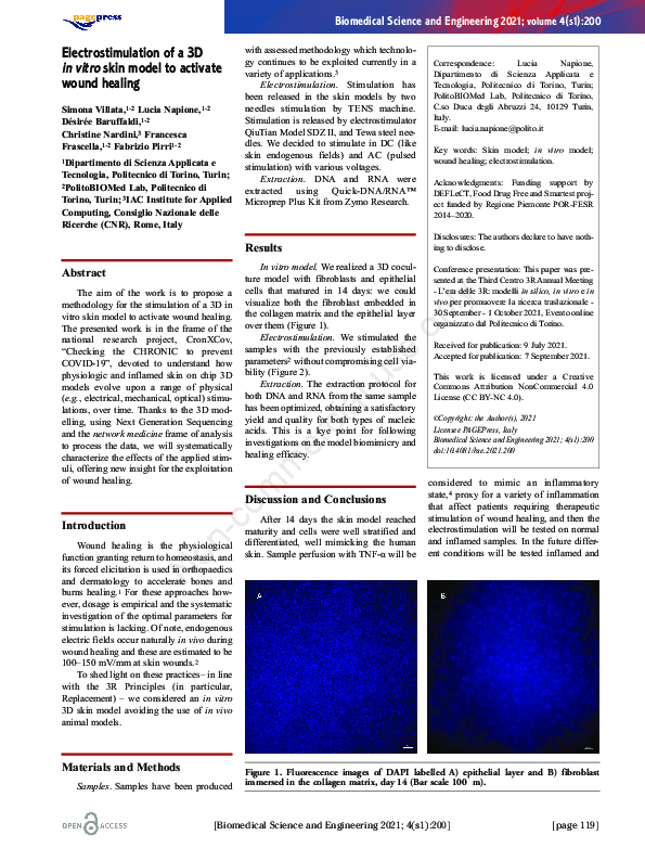 (PDF) Electrostimulation of a 3D in vitro skin model to activate wound ...