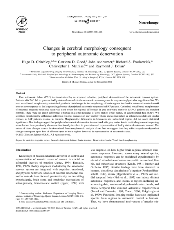 (PDF) Changes in cerebral morphology consequent to peripheral autonomic ...
