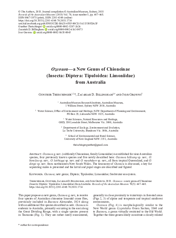 (PDF) Ozeoura—a new genus of Chioneinae (Insecta: Diptera: Tipuloidea ...