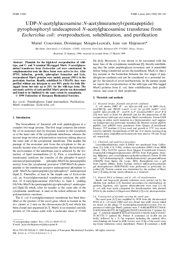 (PDF) UDP-N-acetylglucosamine:N-acetylmuramoyl-(pentapeptide ...