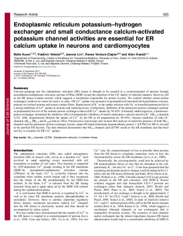 (PDF) Endoplasmic reticulum potassium-hydrogen exchanger and small ...