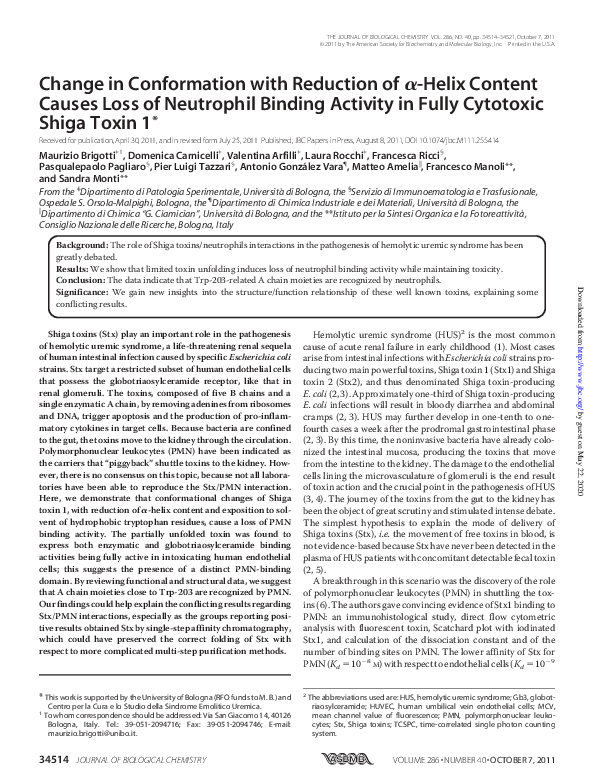 (PDF) Change in Conformation with Reduction of -Helix Content Causes ...