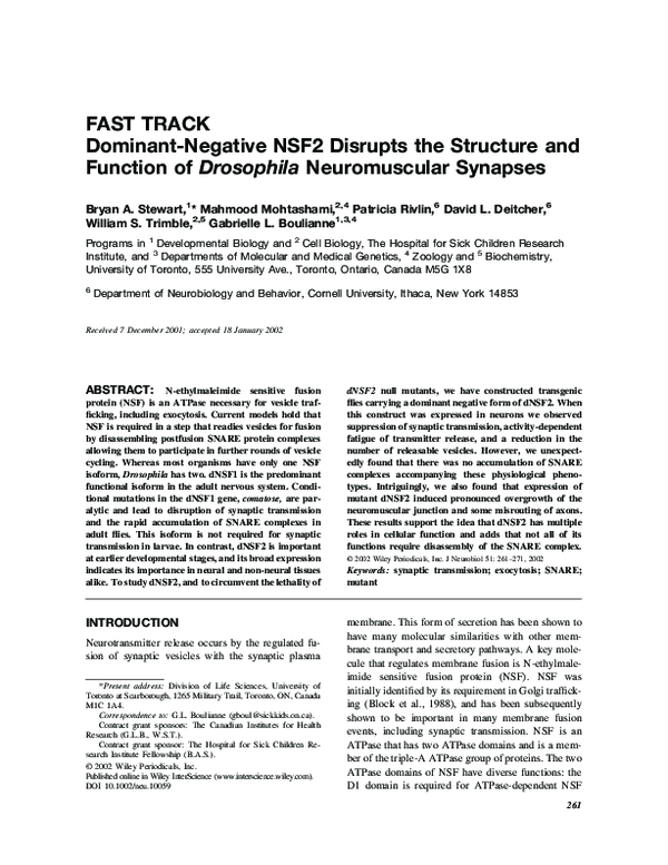 (PDF) Dominant-negative NSF2 disrupts the structure and function ...