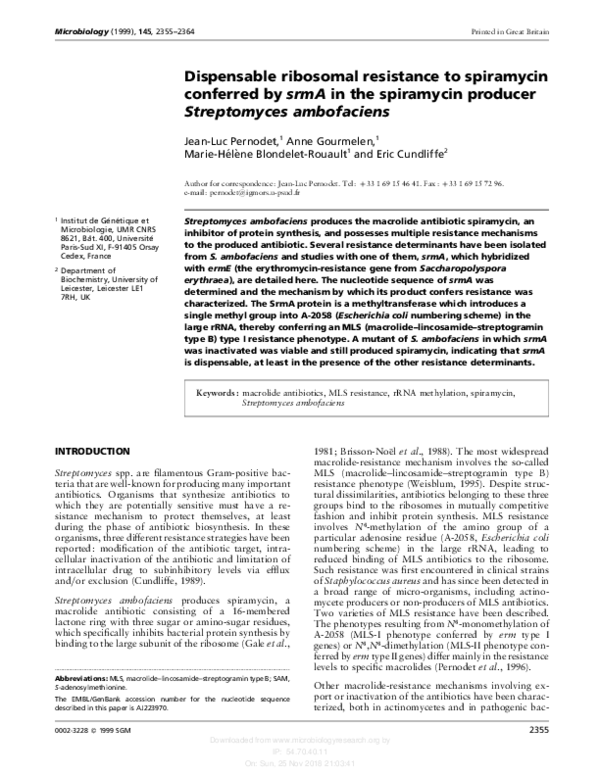 (PDF) Dispensable ribosomal resistance to spiramycin conferred by srmA ...
