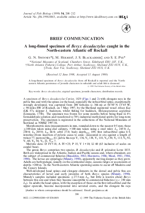 (PDF) A long-finned specimen of Beryx decadactylus caught in the North ...