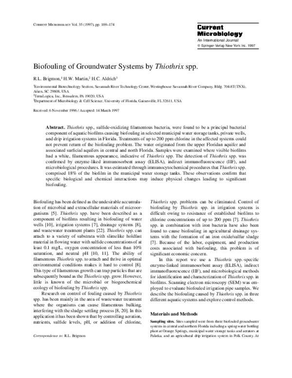 (PDF) Biofouling of Groundwater Systems by Thiothrix spp