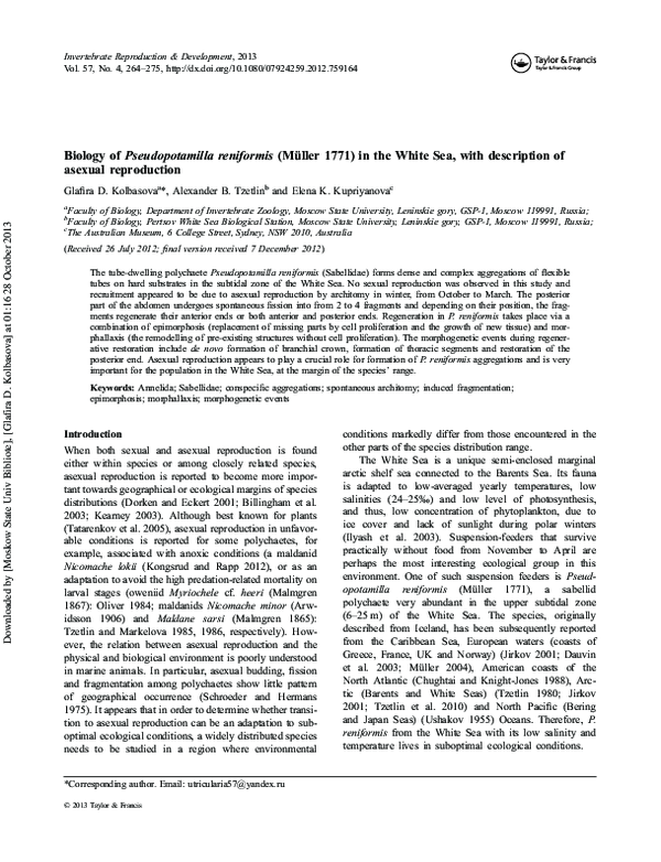 (PDF) Biology of Pseudopotamilla reniformis (Sabellidae) in the White ...