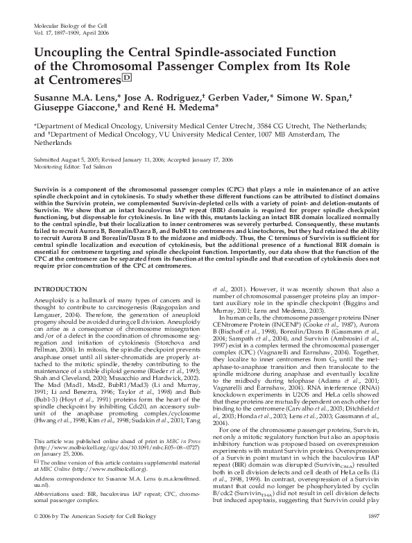 (PDF) Faculty of 1000 evaluation for Uncoupling the central spindle ...