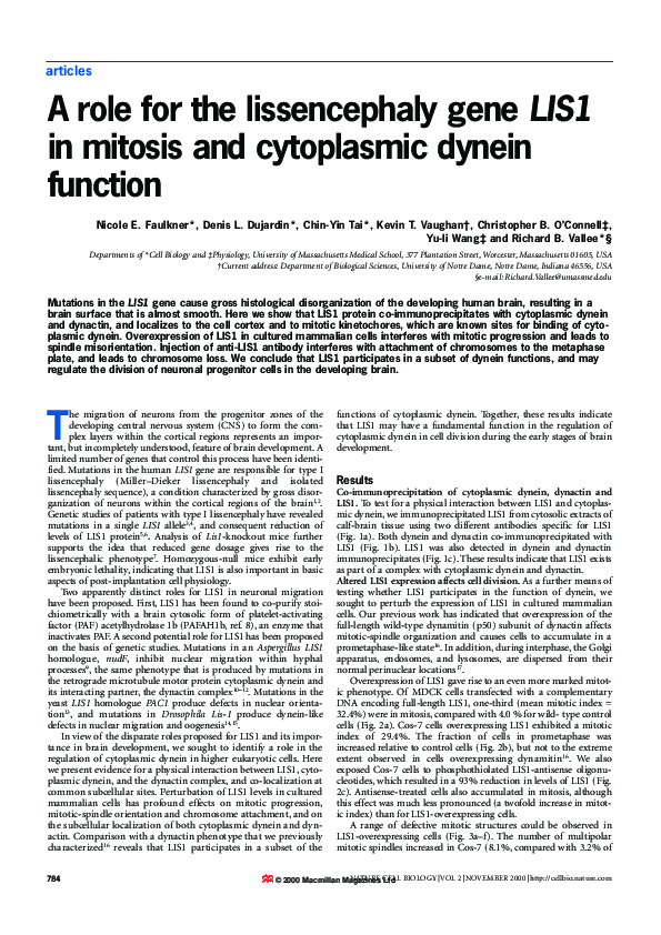 (PDF) A role for the lissencephaly gene LIS1 in mitosis and cytoplasmic ...