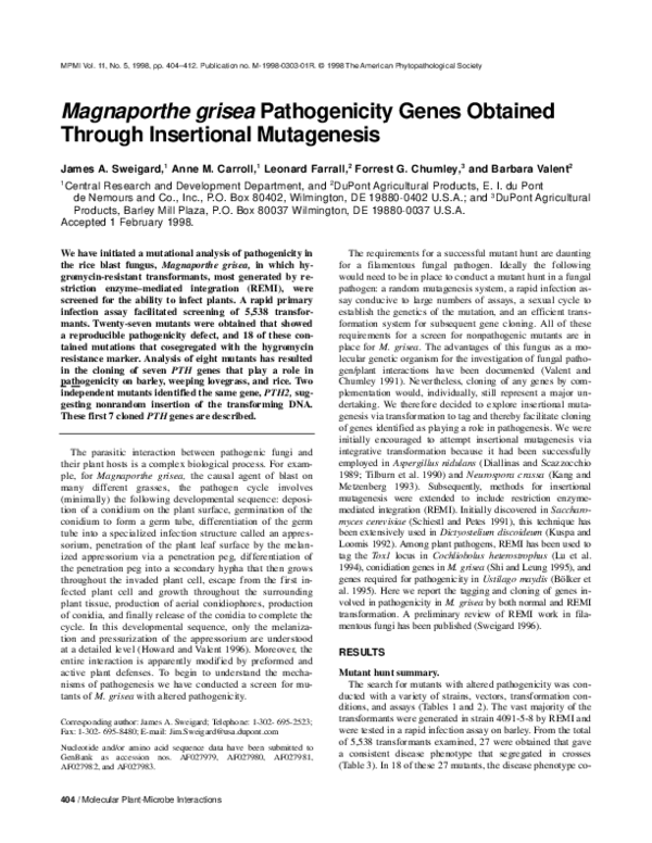 (PDF) Magnaporthe grisea Pathogenicity Genes Obtained Through ...