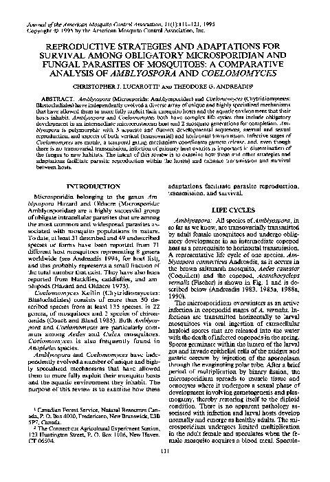 (PDF) Reproductive strategies and adaptations for survival among ...