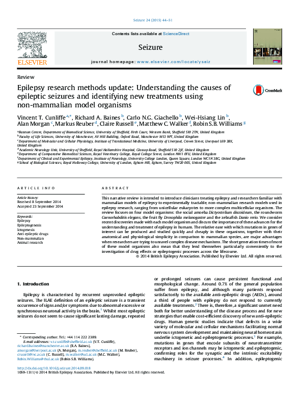 (PDF) Epilepsy research methods update: Understanding the causes of ...