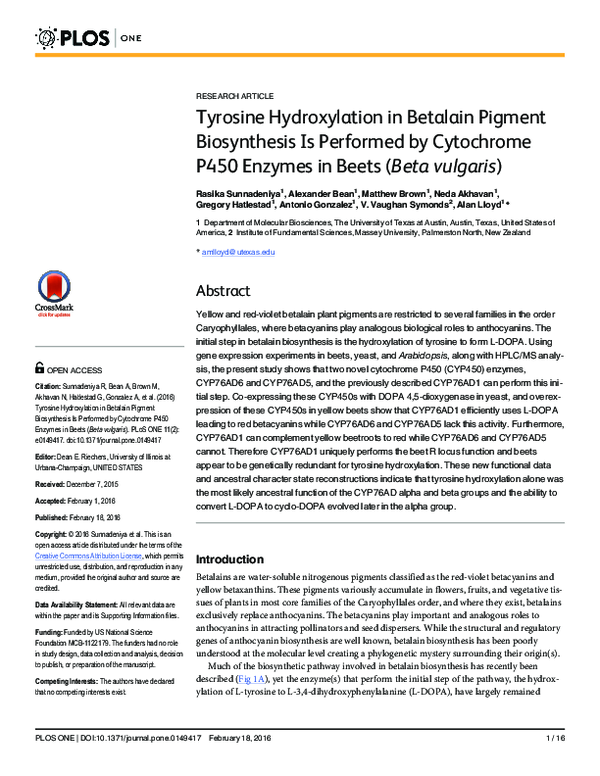 (PDF) Tyrosine Hydroxylation in Betalain Pigment Biosynthesis Is ...