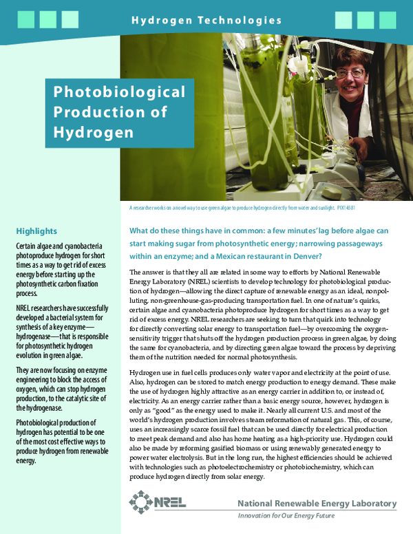 (PDF) Photobiological production of hydrogen | Michael Seibert ...