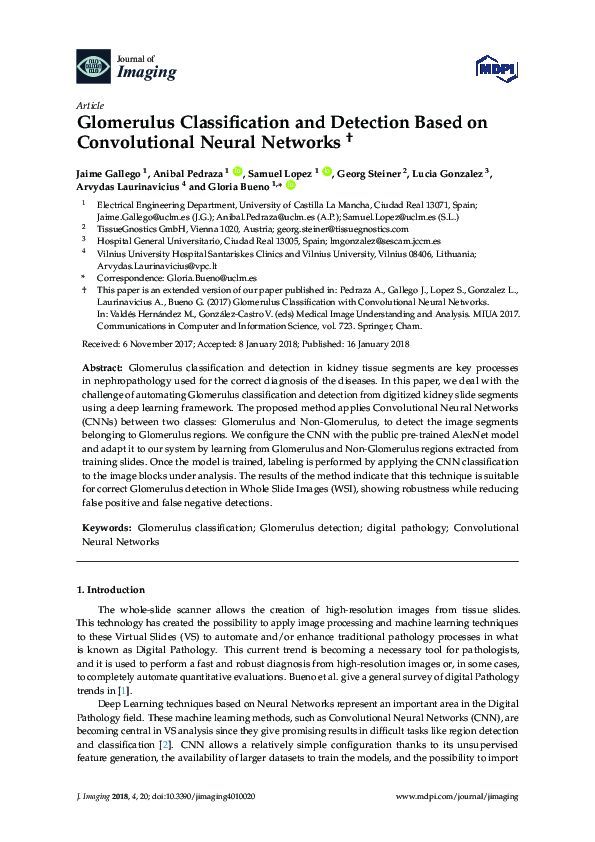 (PDF) Glomerulus Classification and Detection Based on Convolutional Neural Networks