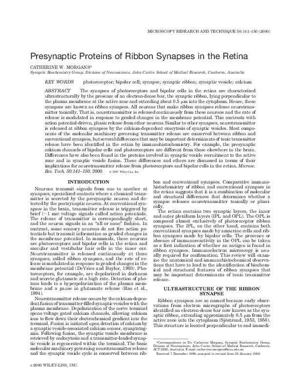 (PDF) Presynaptic proteins of ribbon synapses in the retina