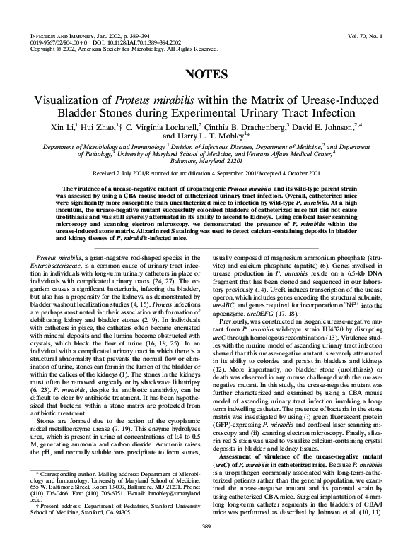 (PDF) Visualization of Proteus mirabilis within the Matrix of Urease ...