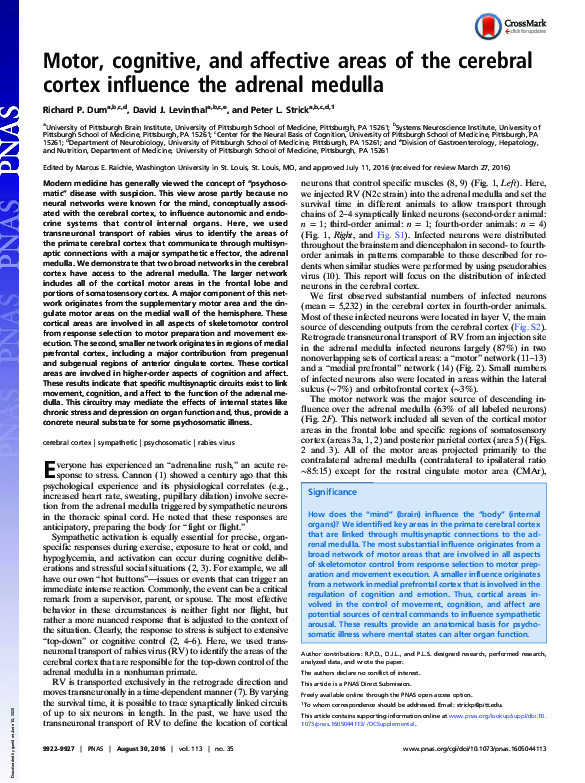 (PDF) Motor, cognitive, and affective areas of the cerebral cortex ...