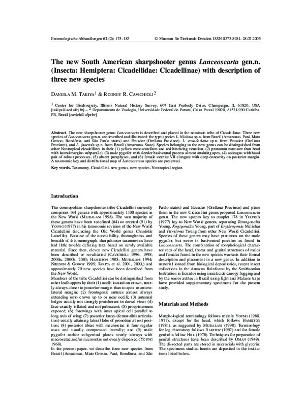 (PDF) The new South American sharpshooter genus Lanceoscarta gen. n ...