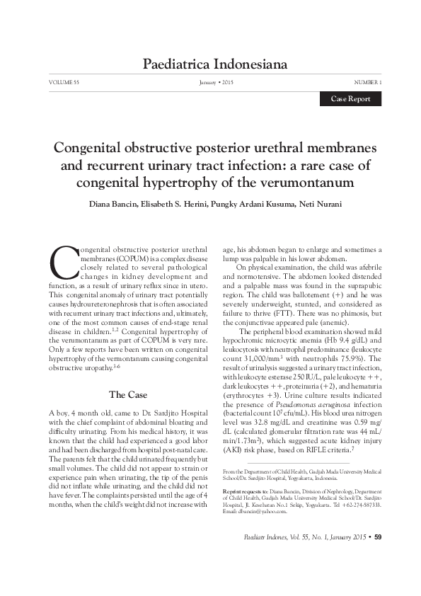 (PDF) Congenital obstructive posterior urethral membranes and recurrent ...