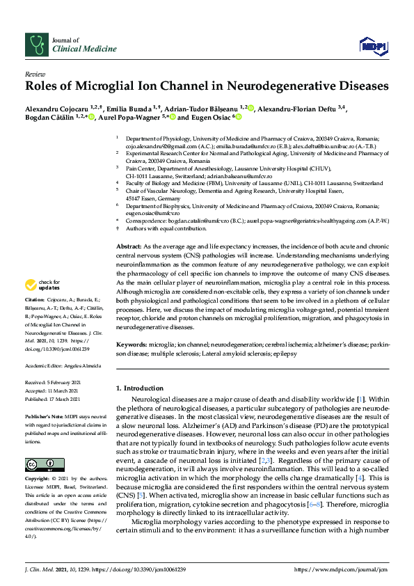 (PDF) Roles of Microglial Ion Channel in Neurodegenerative Diseases