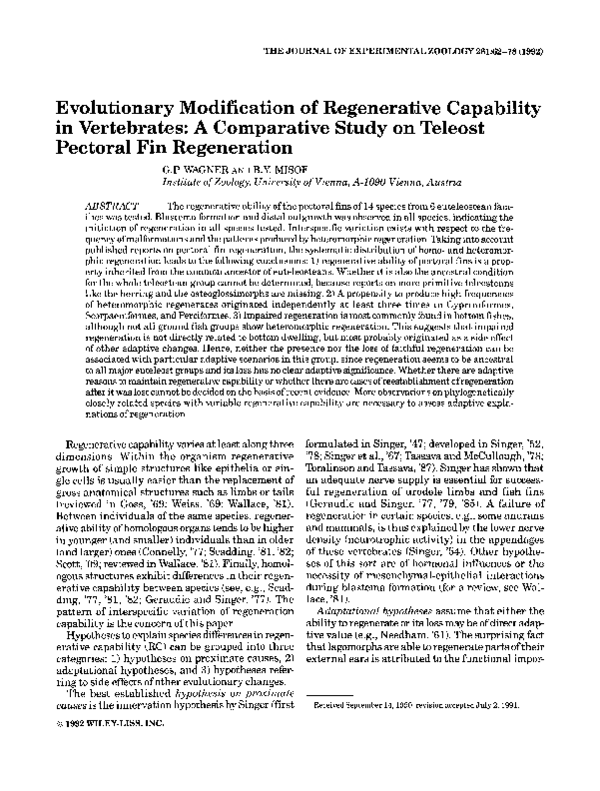 (PDF) Evolutionary modification of regenerative capability in ...