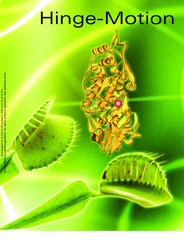 (PDF) Hinge-Motion Binding Proteins: Unraveling Their Analytical Potential