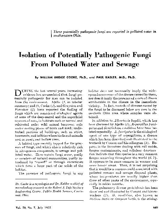 (PDF) Isolation of potentially pathogenic fungi from polluted water and ...