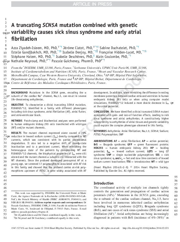 (PDF) A truncating SCN5A mutation combined with genetic variability ...