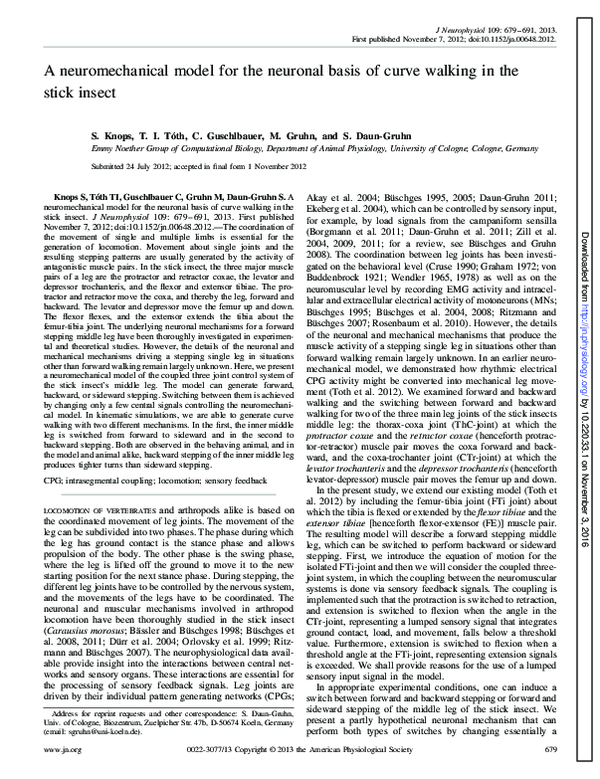 (PDF) A neuromechanical model for the neuronal basis of curve walking ...