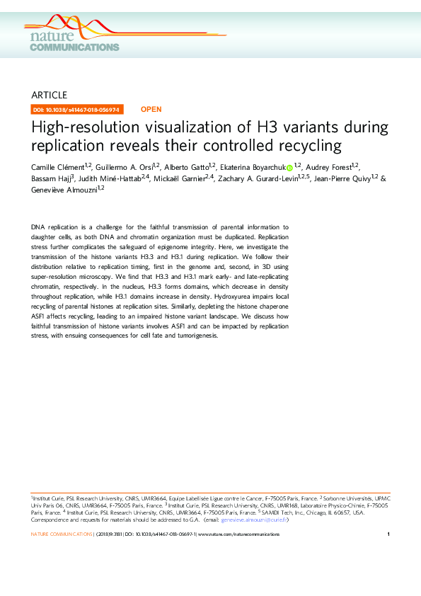 (PDF) High-resolution visualization of H3 variants during replication ...