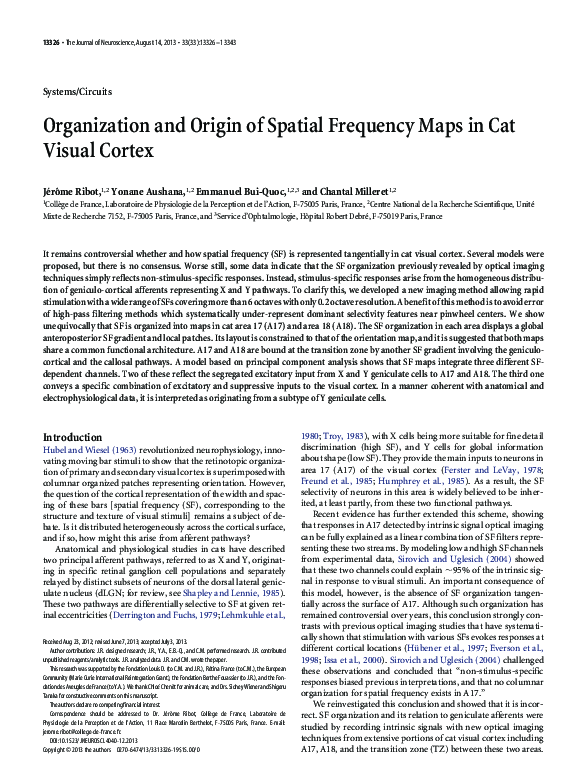 (PDF) Organization and Origin of Spatial Frequency Maps in Cat Visual Cortex