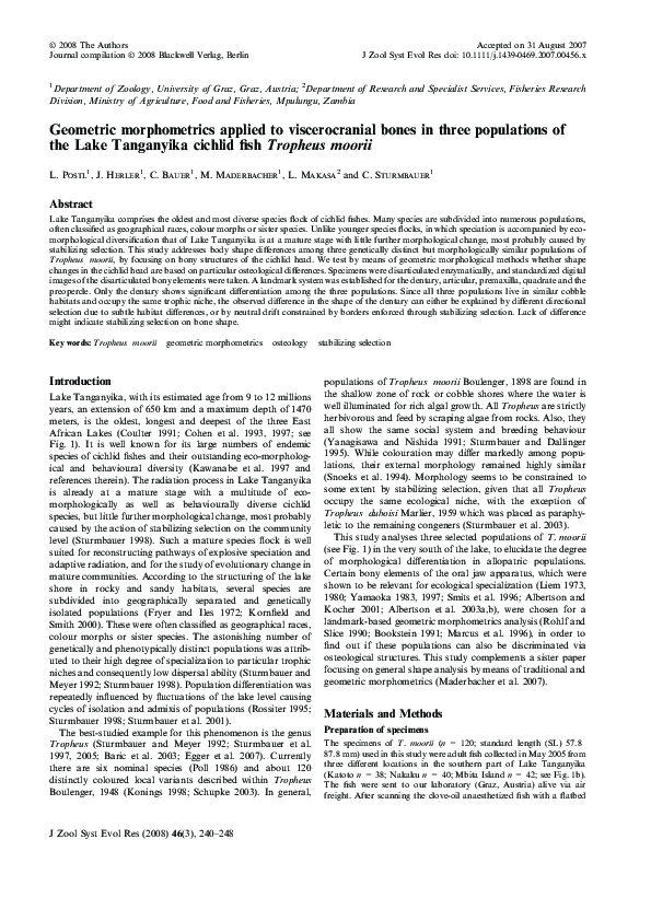 (PDF) Geometric morphometrics applied to viscerocranial bones in three ...